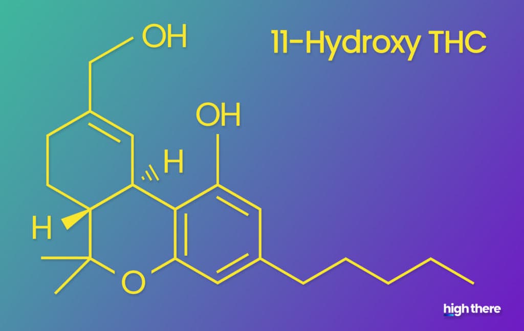 11 Hydroxy Metabolite - What It Is & Why You Need to Know | High There!