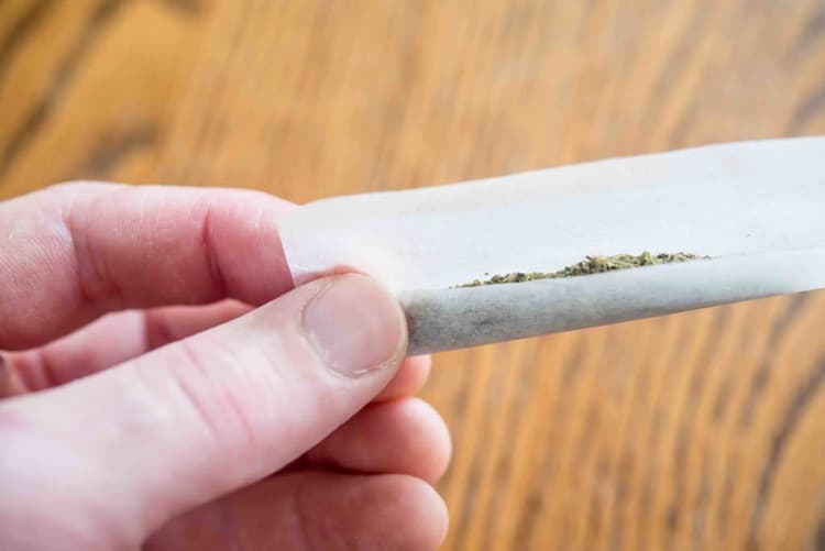 How to Roll a Joint (Instructions for Beginners)